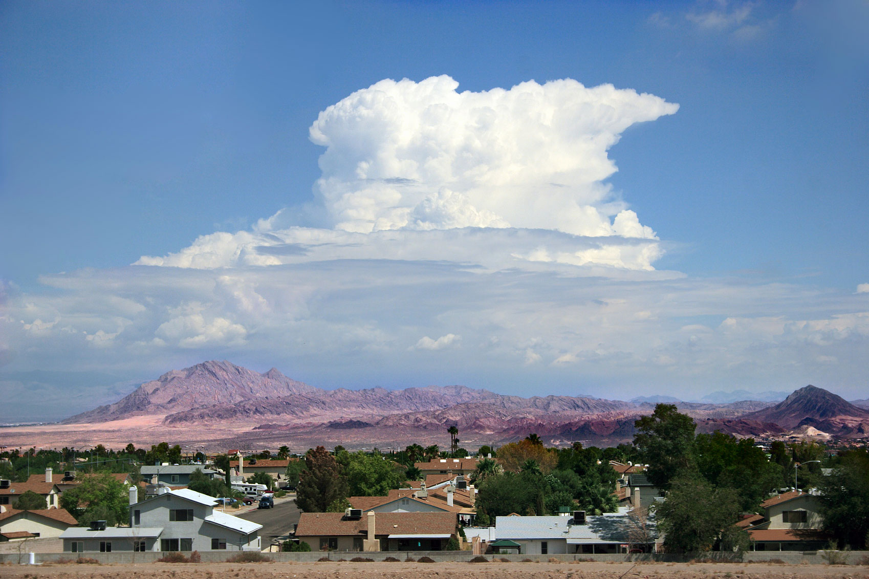 Go Global Realty - Free Downloads